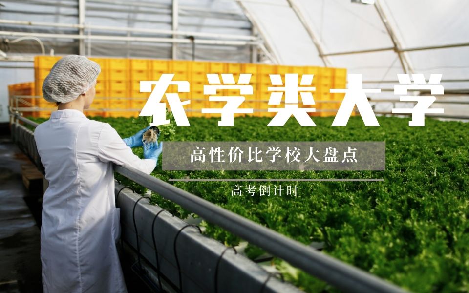 想围观毕业论文乱跑现场!这10所最好的农学类大学推荐给你~