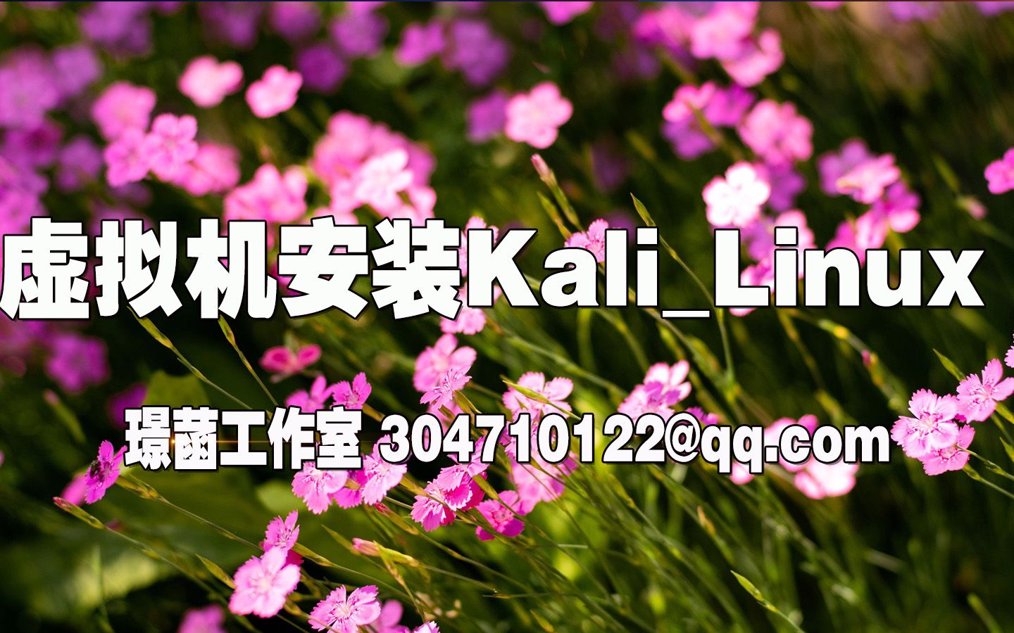虚拟机安装kali_linux系统