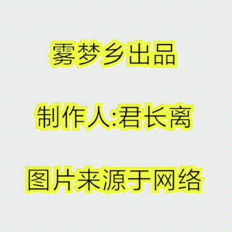 [皮卡丘]这样的皮神请给我来一只!