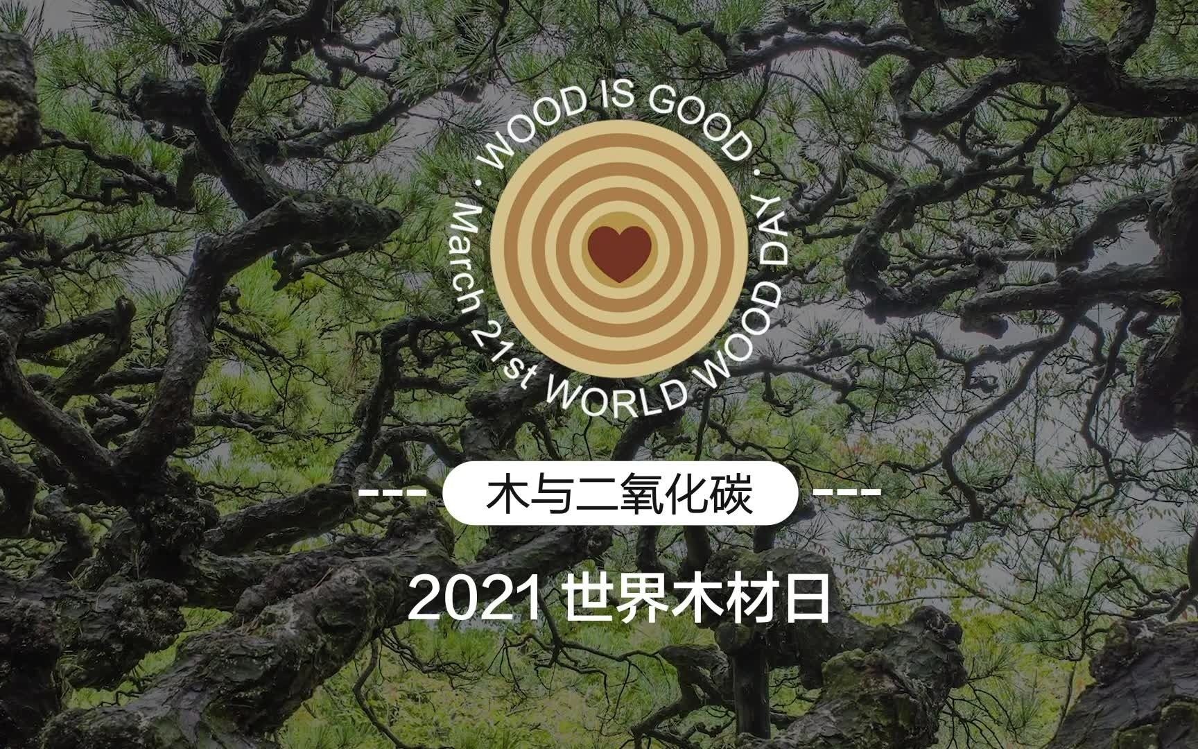 木与二氧化碳/2021世界木材日主题/森林生态环保