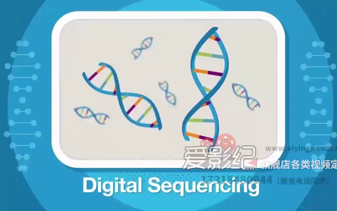 科普讲解类-企业宣传爱影纪 flash动画 mg动画 二维动画 卡通宣传片