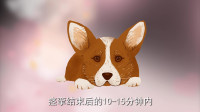 狗狗痉挛的处理方法