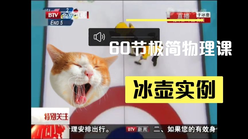 60节极简物理课 动量守恒实例冰壶比赛