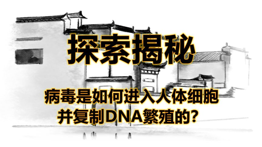 探索揭秘:病毒是如何进入人体细胞,并复制DNA繁殖的?