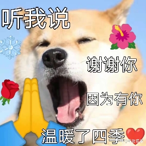 司无涯 