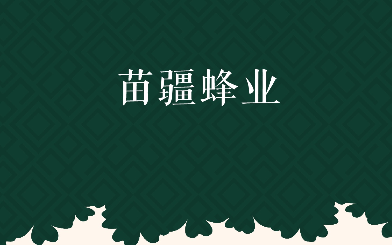 苗疆蜂业 - 公众号界面预览