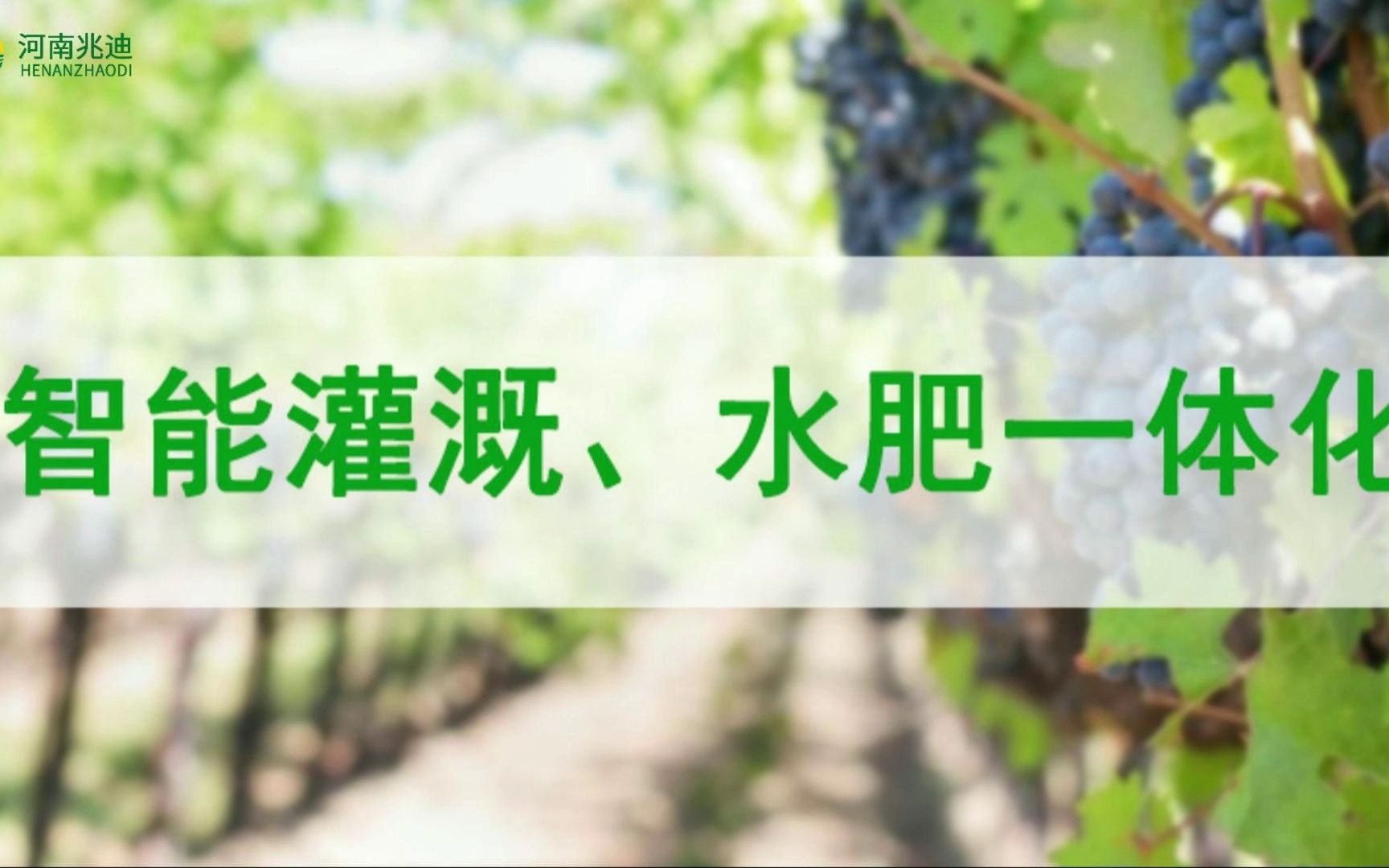 智慧灌溉、水肥一体化解决方案