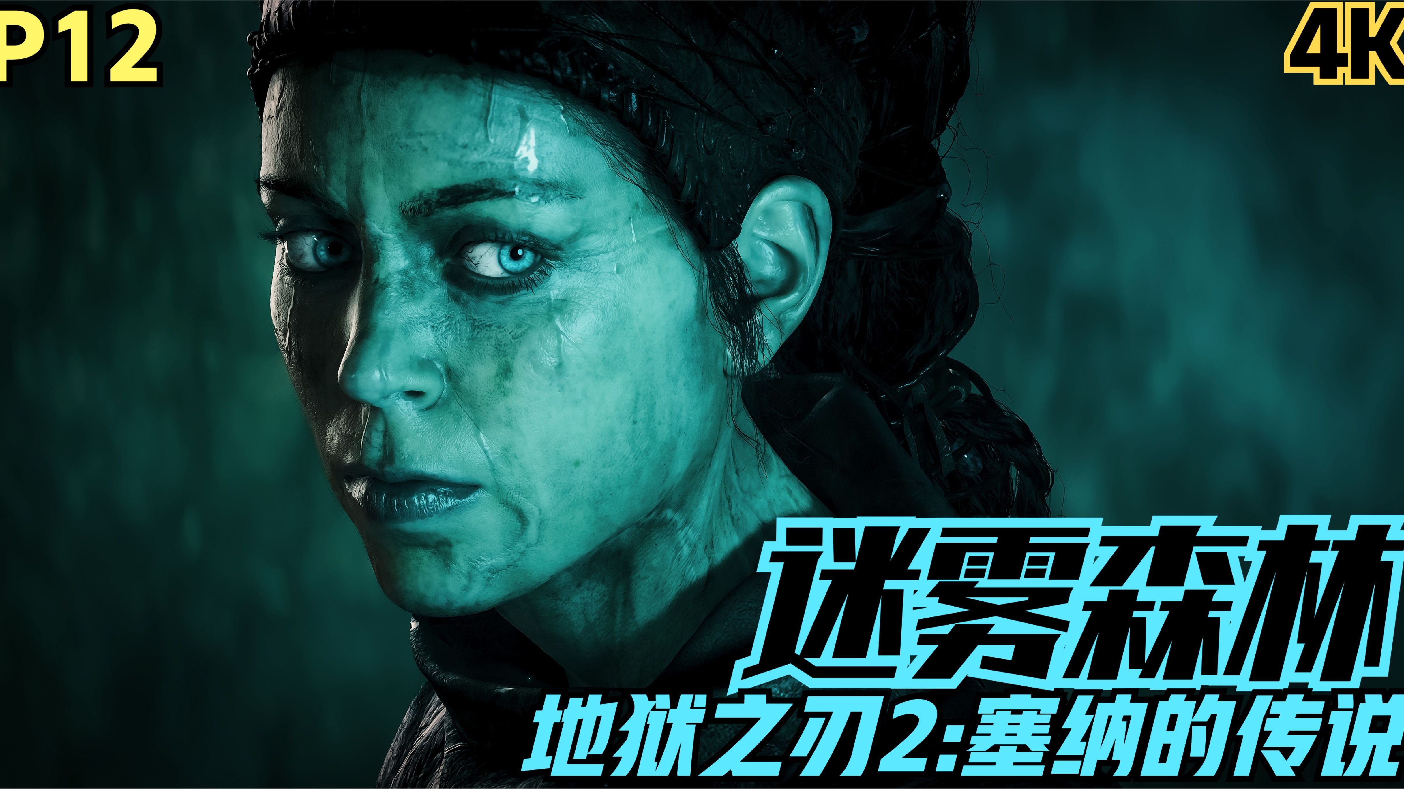 【Zarz蛋蛋】4K60地狱之刃2:塞纳的传说剧情实况P12:迷雾森林