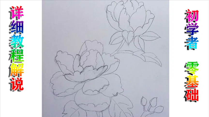 你们要的慢教程简笔画牡丹花,是不是很简单啊!我们一起来画吧
