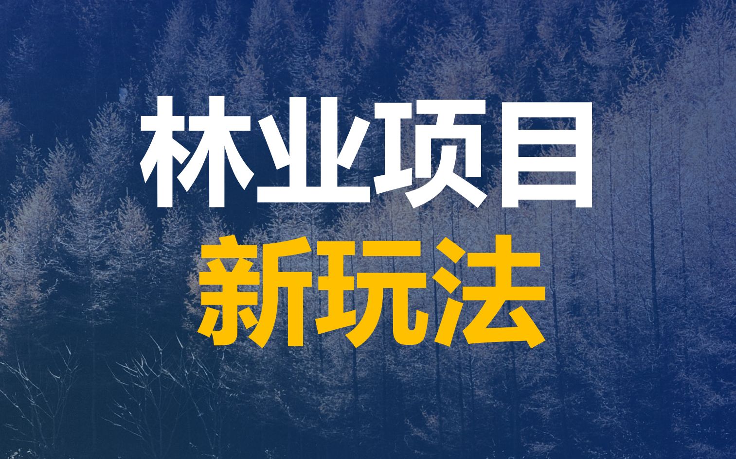 林业项目,也玩片区?林业投资项目,也能按片区开发的模式玩吗?