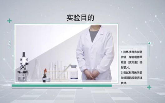 生物学实验11观察草履虫