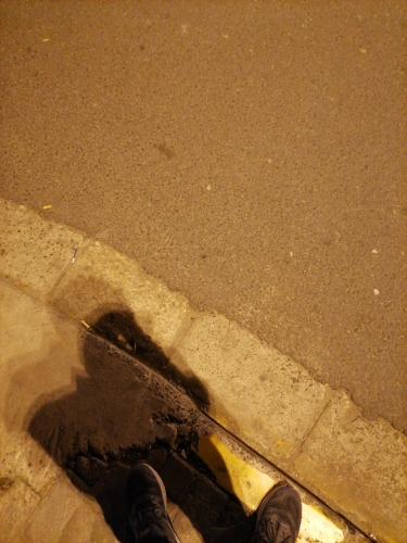 人是一条虫子 