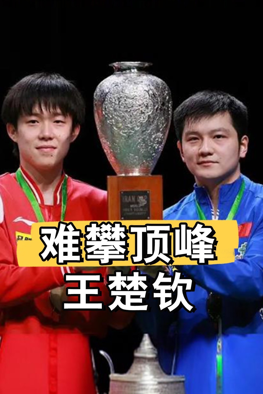 明明都是乒乓冠军,王楚钦遇上樊振东,为何要强的王楚钦难攀顶峰