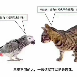 晶元上的生物 