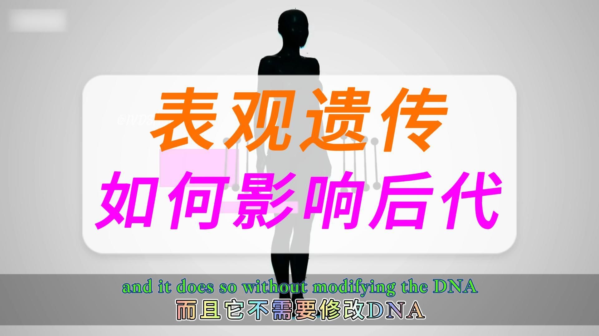 表观遗传是如何影响后代的?