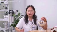 眼科主任带你认识我们的眼睛