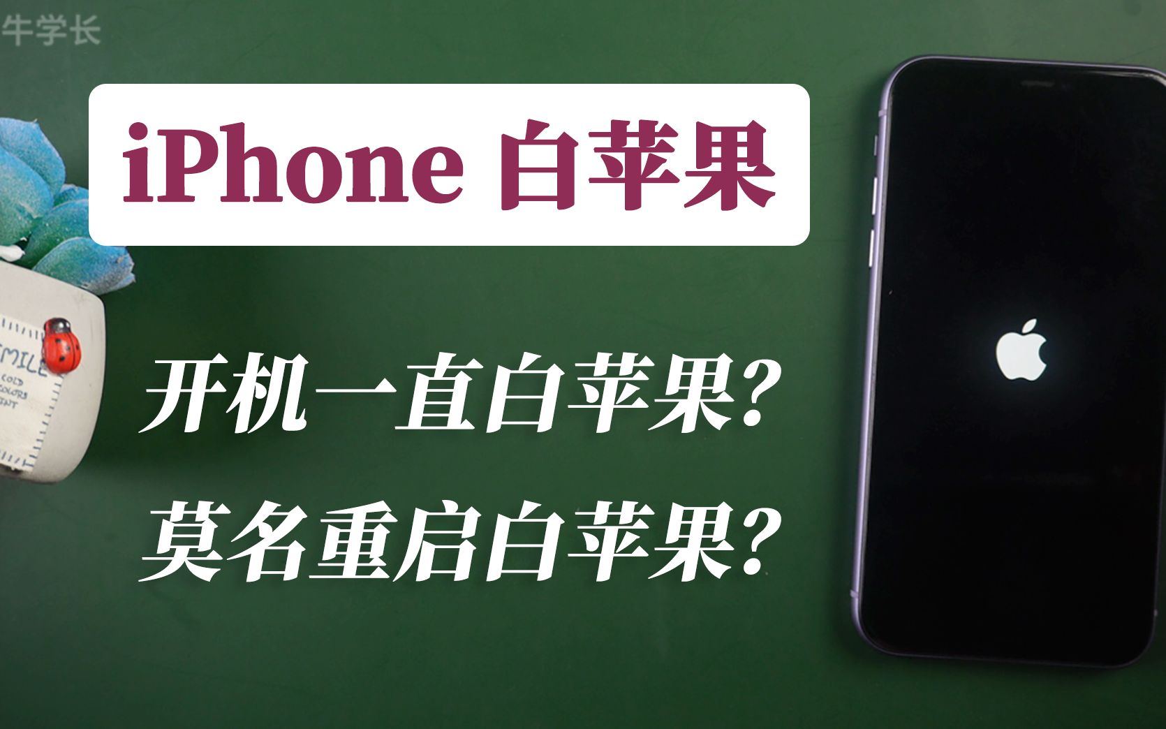 iPhone11开机一直显示白苹果?iPhoneX莫名关机重启白苹果,怎么修复?