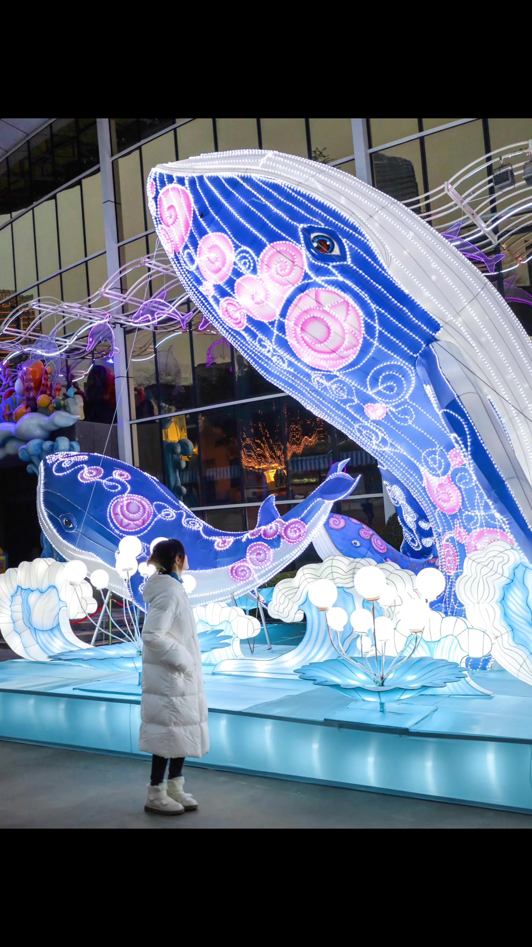 ... 去海洋公园玩居然遇到了花灯节开幕 有被震撼到! 第一次看到了非遗...