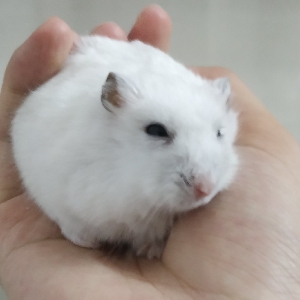 唔知起咩也名啊 