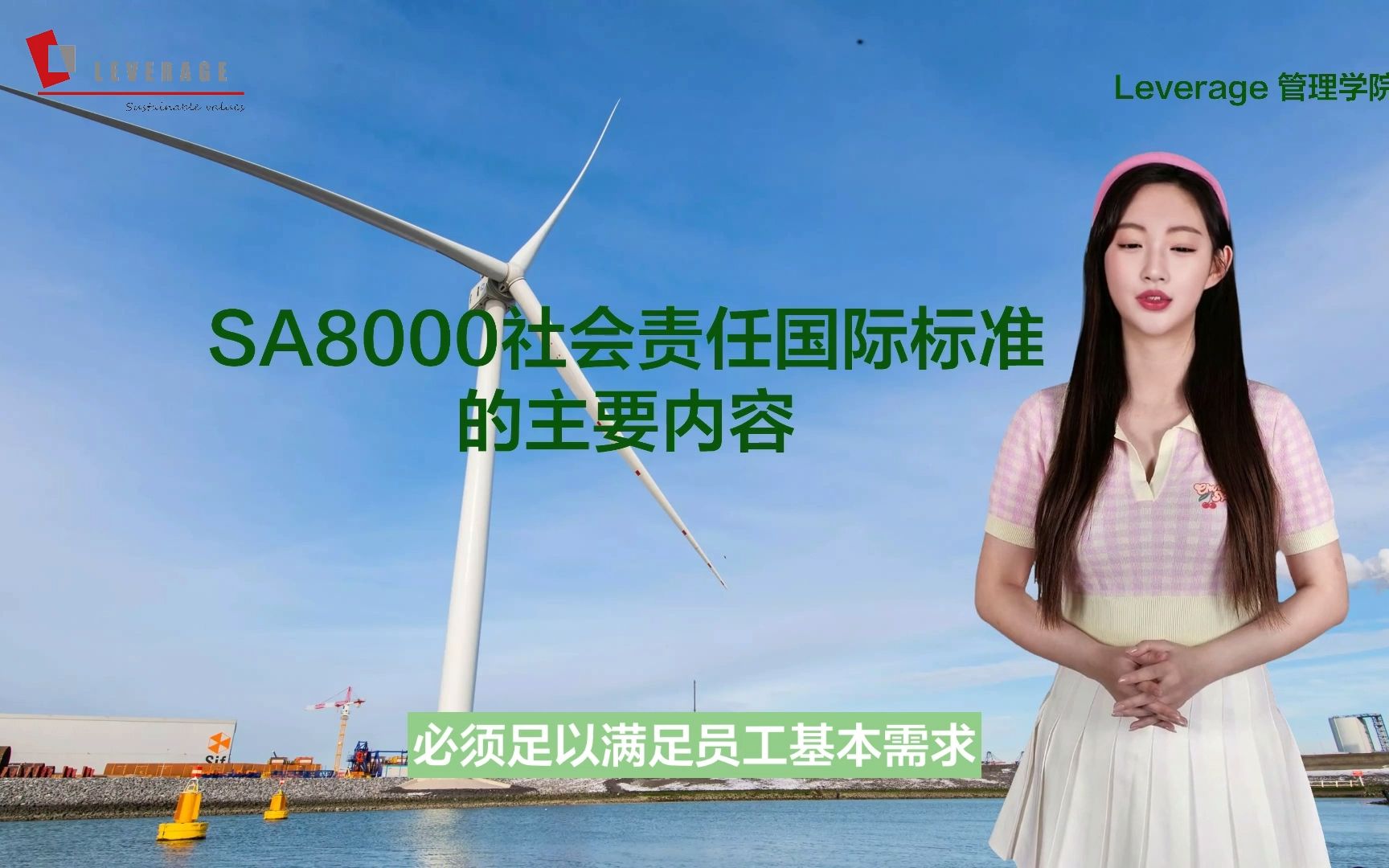 leverage供应链普及SA8000社会责任国际标准主要的几大内容。