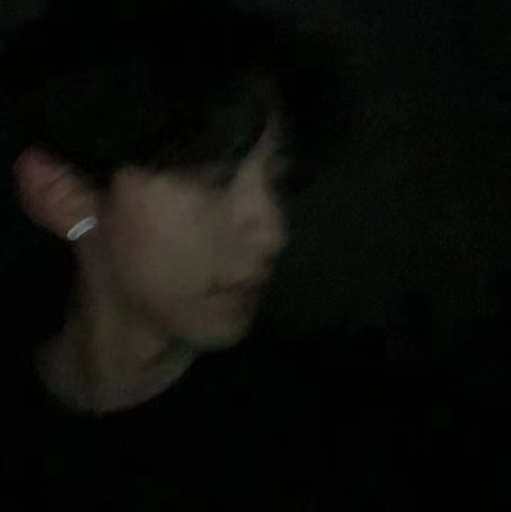狮子迸进 