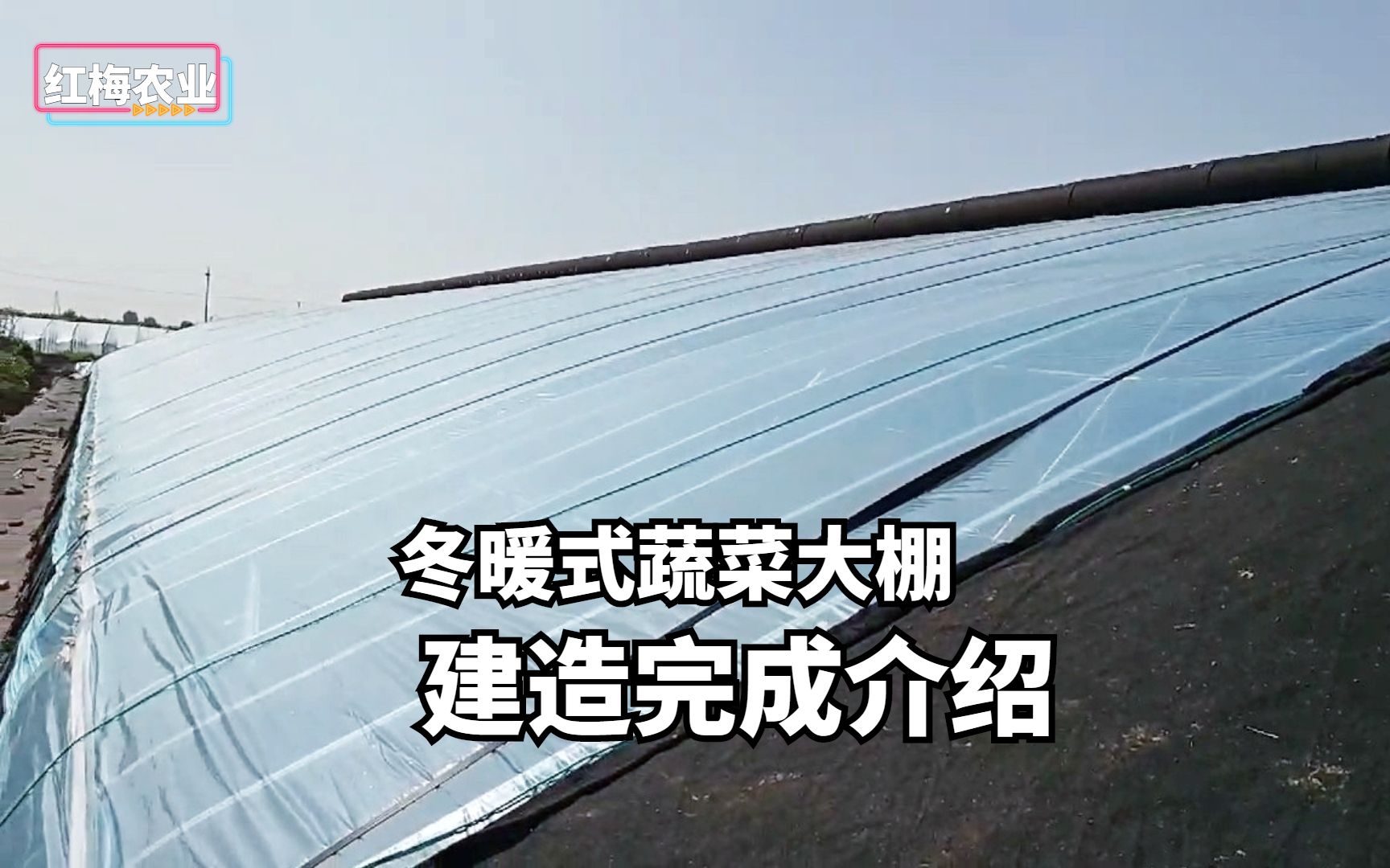 寿光冬暖式蔬菜大棚建造完成,80多米的长度,纯钢架梁结构
