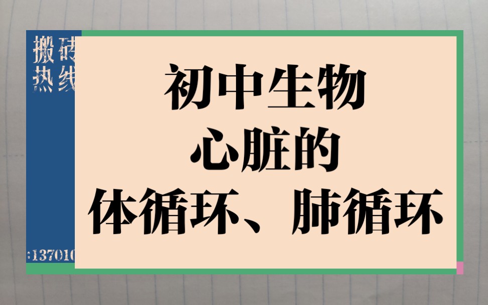 【初中生物】心脏:体循环肺循环
