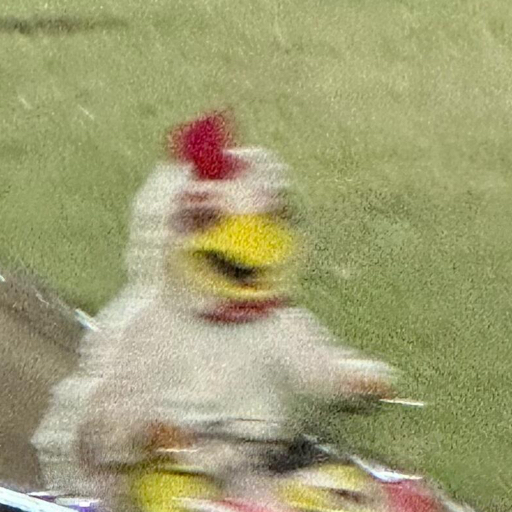 我不喜欢吃芹菜哇 