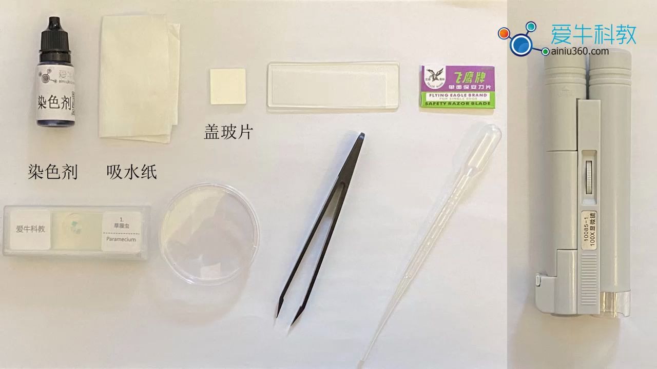 教科版小学科学六下1.5用显微镜观察身边的生命世界