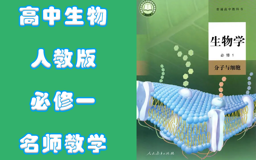 高中必修第一册生物人教版名师同步教学