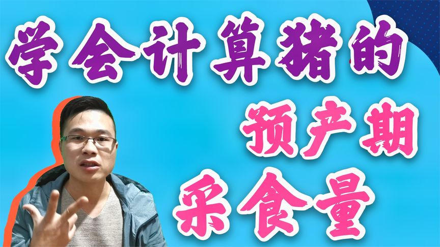 养猪新手看过来:教你精确计算猪每天吃几斤几两料、还有预产期