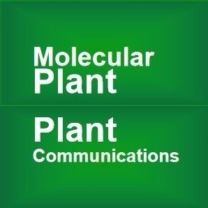 Molecular_Plant 