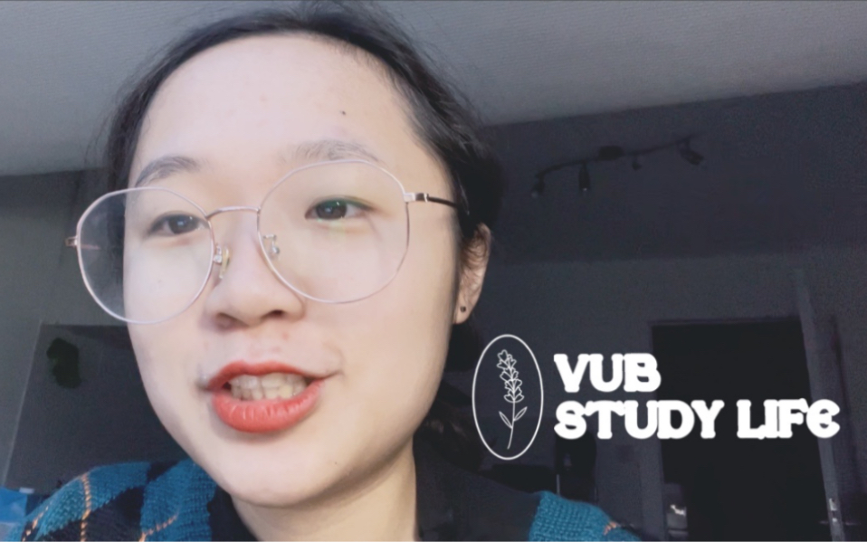 VUB学习生活|图书馆学习|在比留学第一次oral presentation& group ...