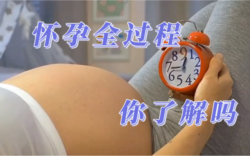 怀孕全过程,科学解释的怀孕,你了解吗