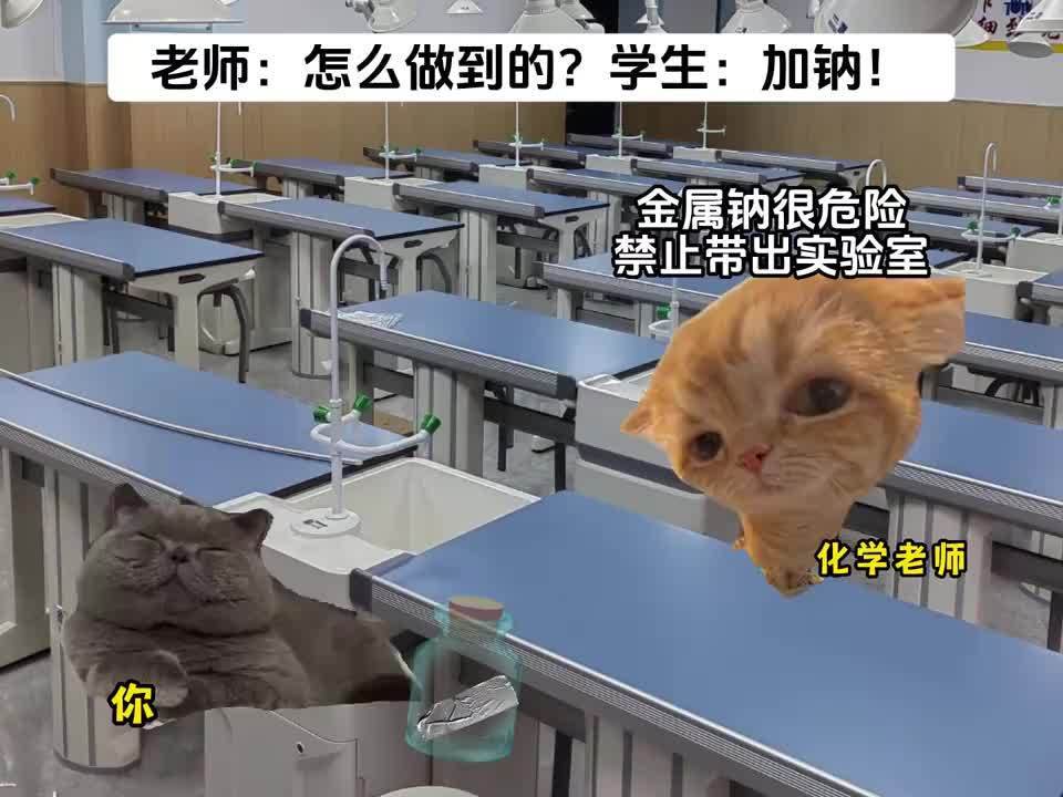 老师:怎么做到的?学生:加钠!