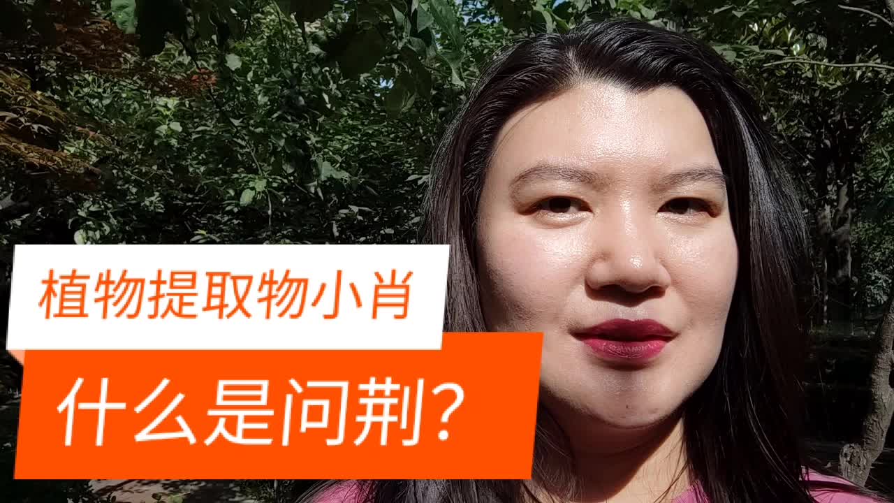 问荆提取物是什么