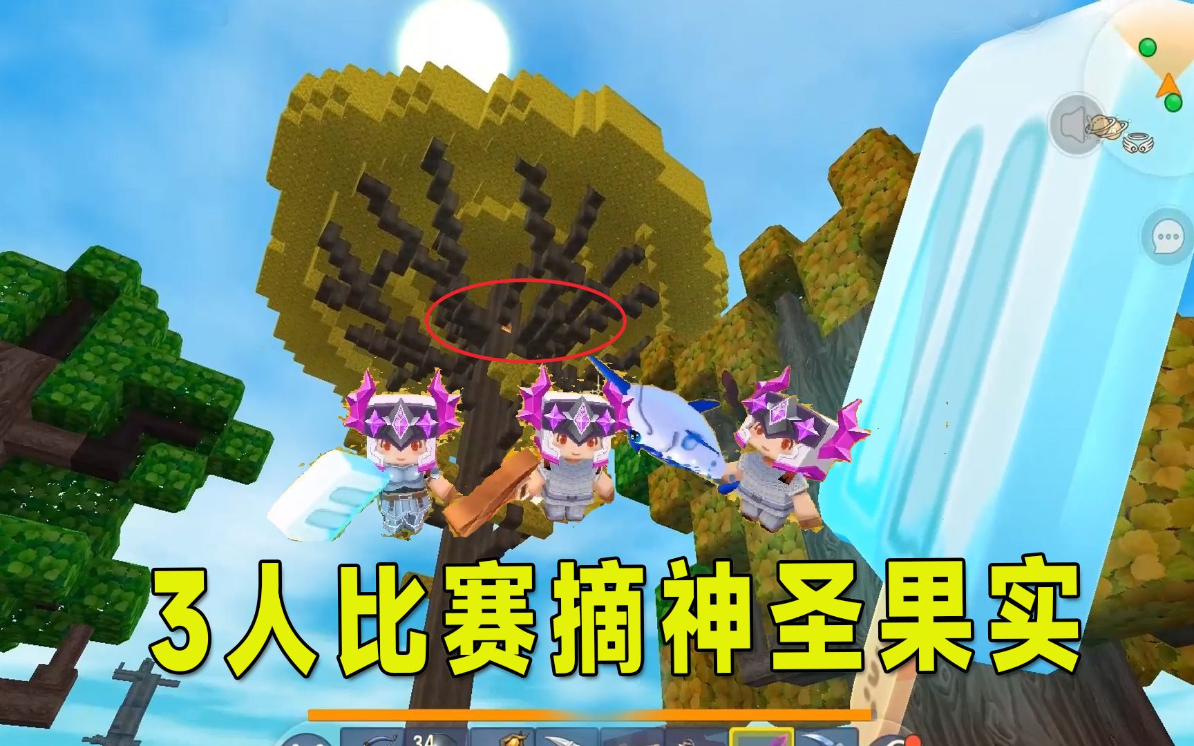 迷你世界沙漠生存19:神圣树不用便便长大了,3人比赛摘神圣果实