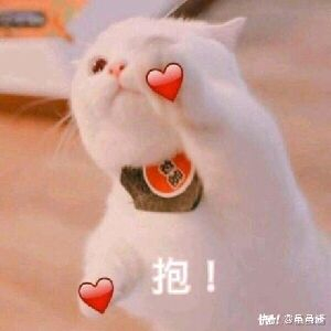 欢喜老师教你画插画 