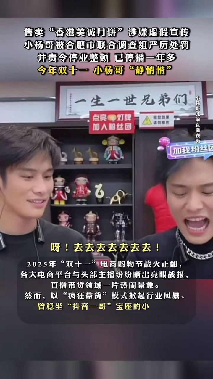 今年双十一 小杨哥"静悄悄",曾涉嫌虚假宣传,被严厉处罚并责令停业整顿