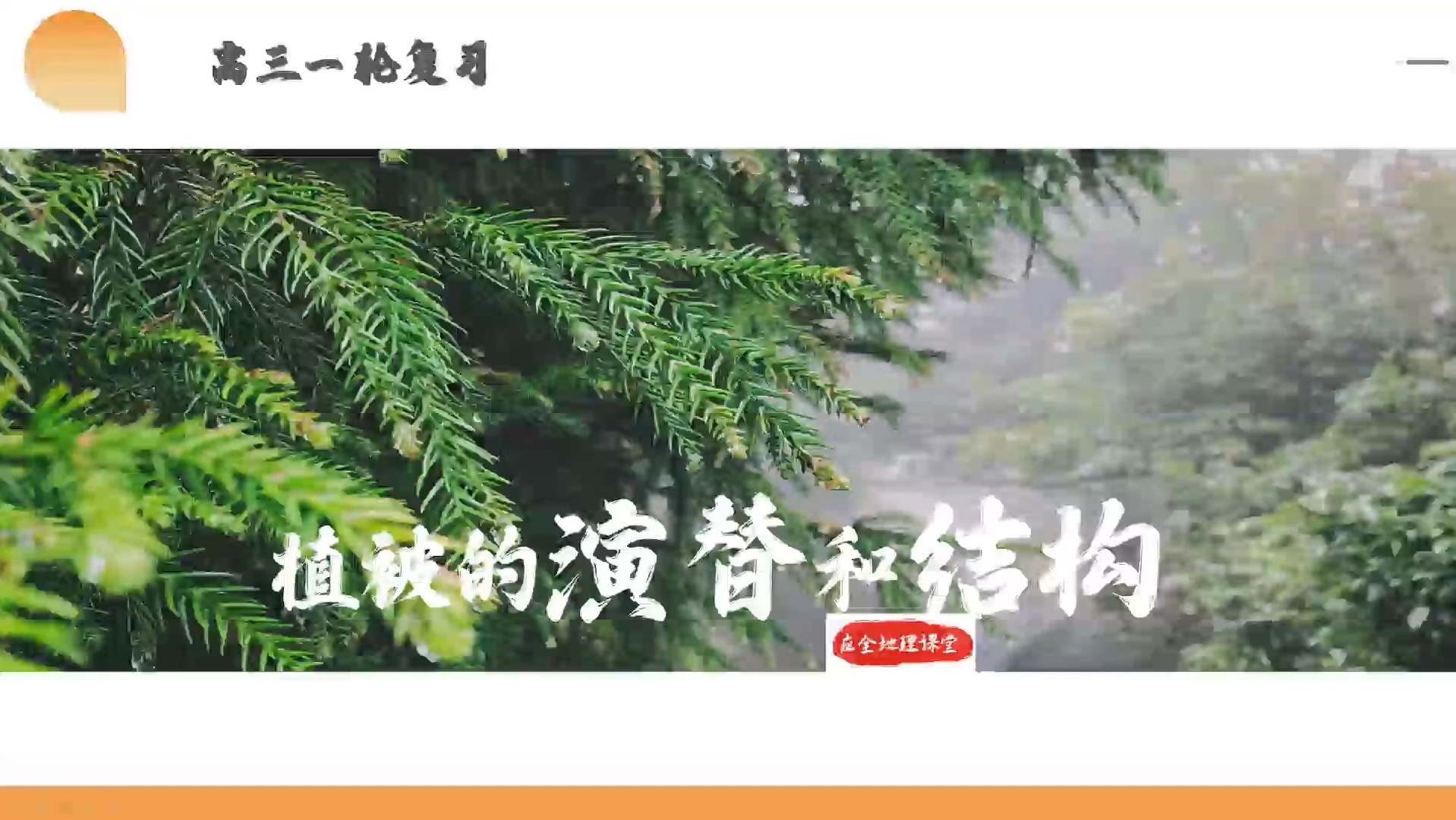 【高三一轮复习】81植被的演替和结构