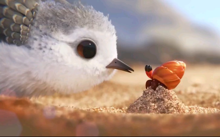 鹬动画片完整版