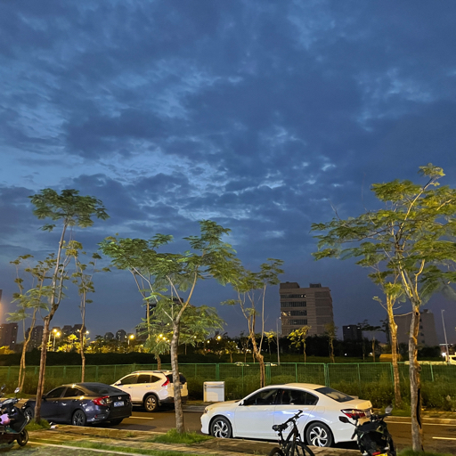 厦门软件陈老师 