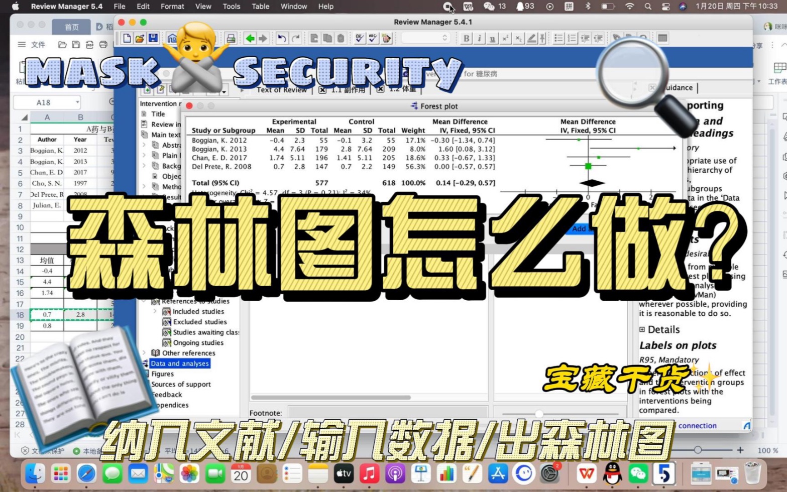 森林图的制作