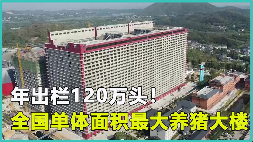 年出栏120万头!生猪坐电梯住26层高楼,我国最大养猪大楼投产