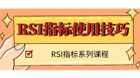 新手必学指标 RSI指标的基本概念及常规分析技巧