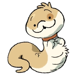 COTUZI 