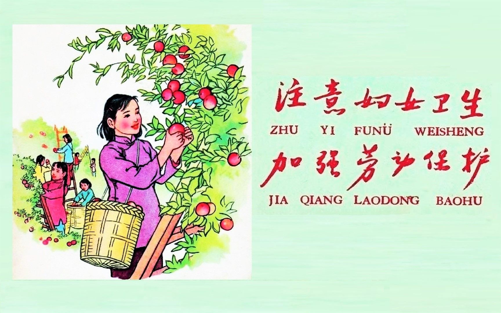 1962年反对月经羞耻 倡导经期孕期照顾的画册《注意妇女卫生 加强...