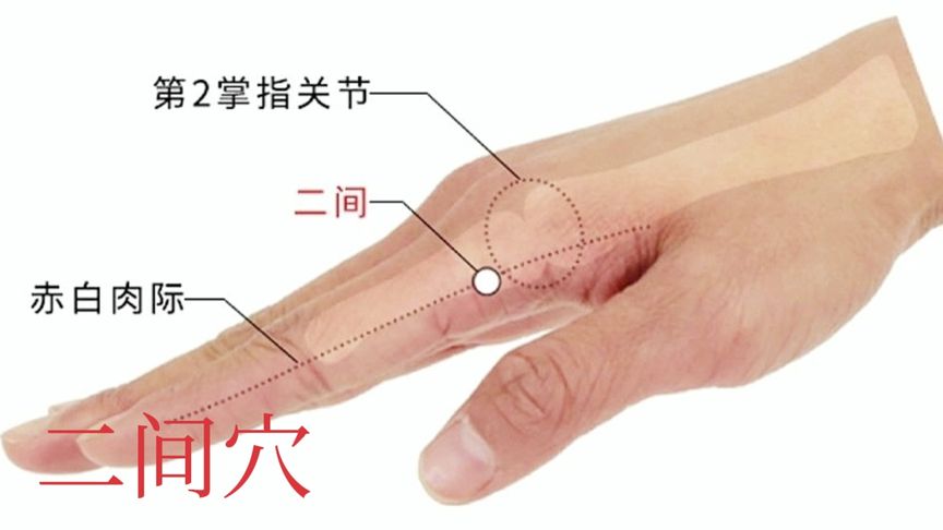 二间穴_手阳明大肠经荥穴