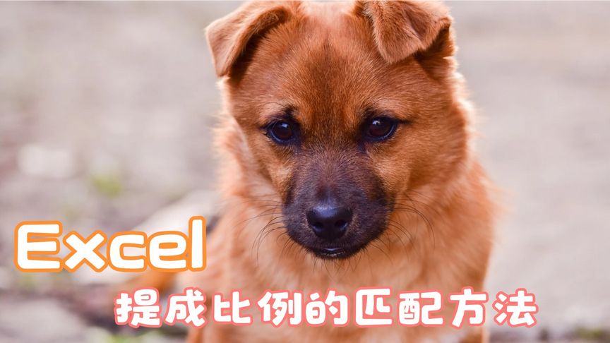 Excel综合应用(25):根据销售额,匹配相应的提成比例