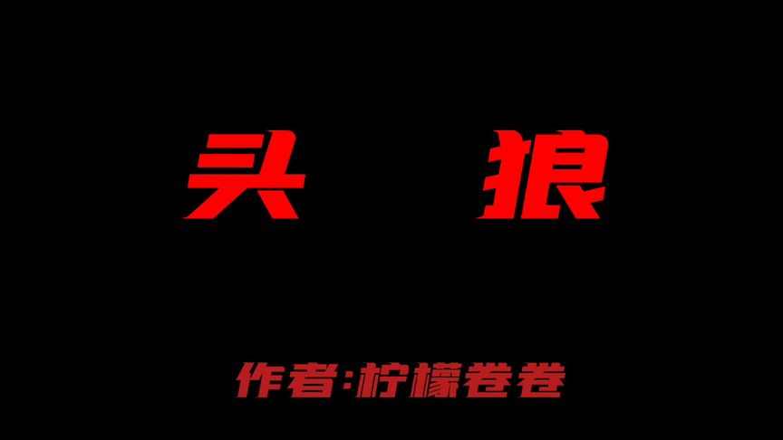头狼 #TF家族 #头狼 #极禹 #涵坤 #同人文